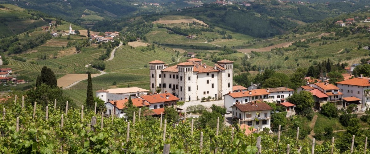 Grad Dobrovo - Goriški muzej